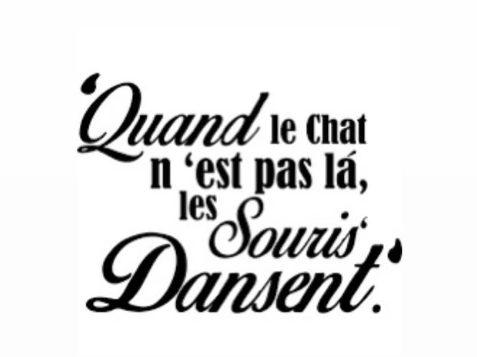 Cyril Hanouna en couple avec Tiphaine Auzière ! Kelly Vedovelli partage un mystérieux message